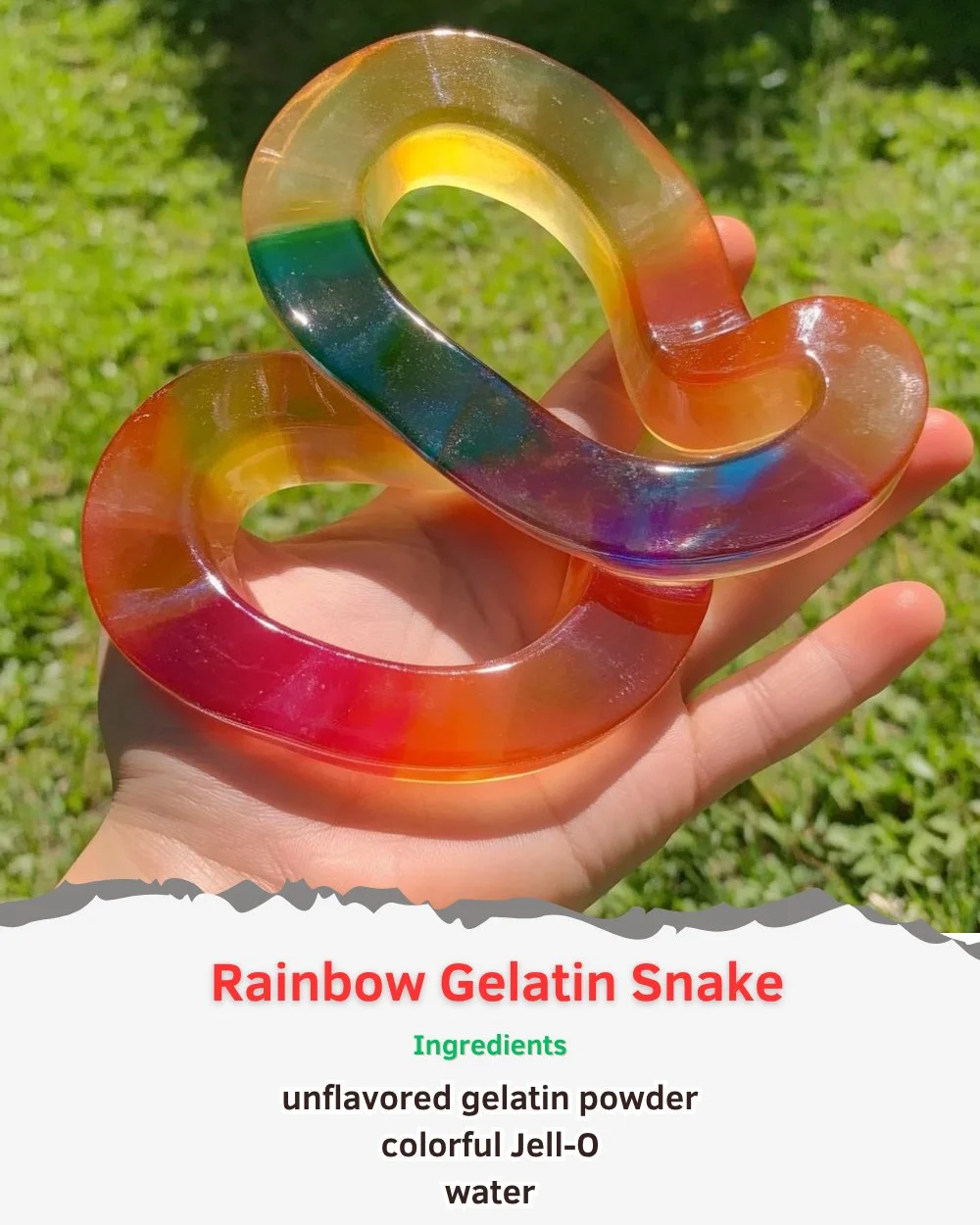 Rainbow Gelatin Snake
