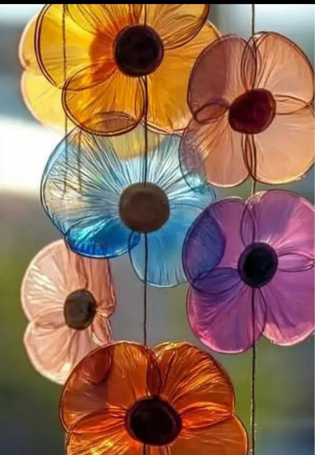 DIY Colorful Transparent Flowers