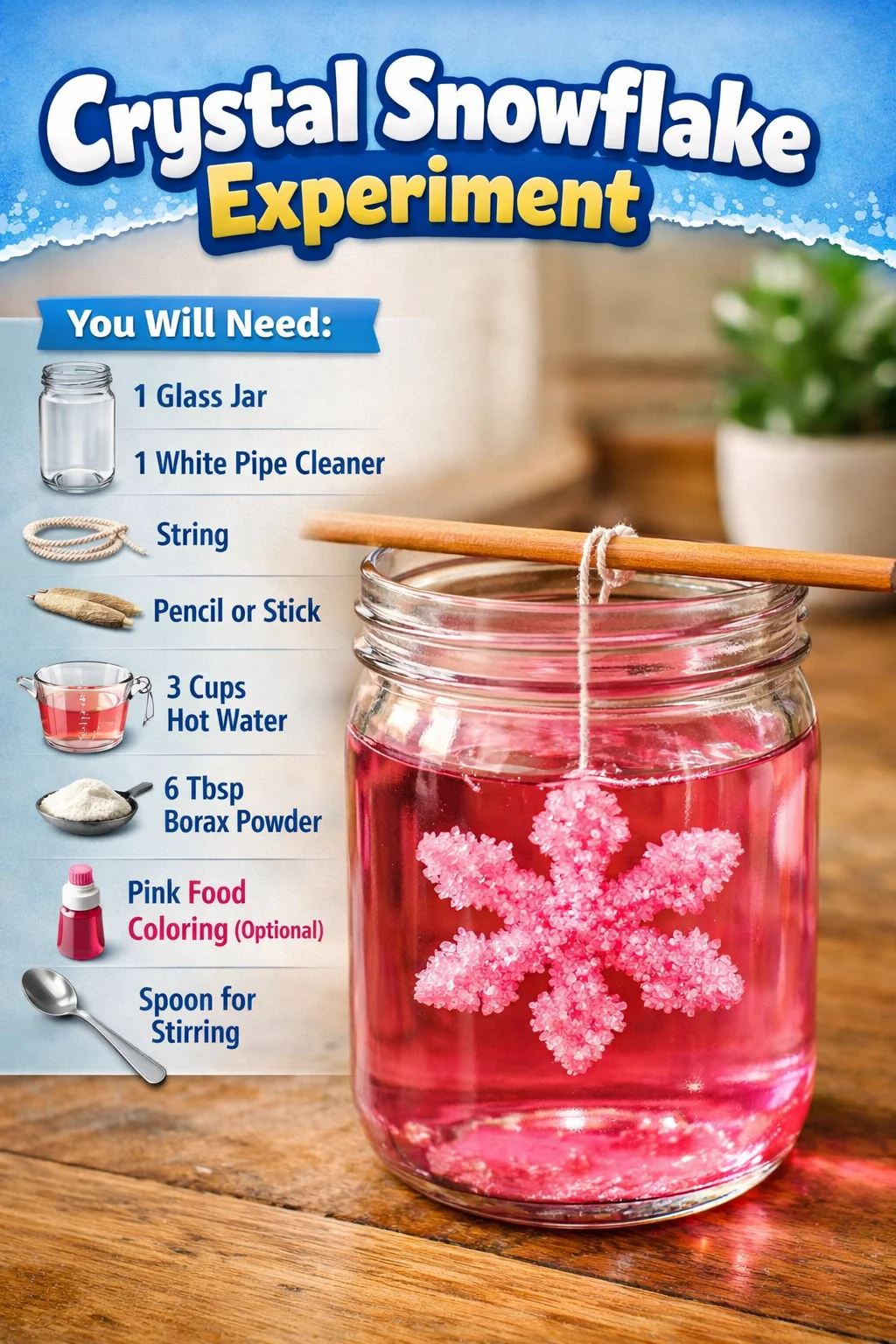 Crystal Snowflake Experiment